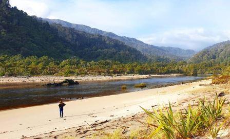 RURU NEST RETREAT AND BNB – Liana